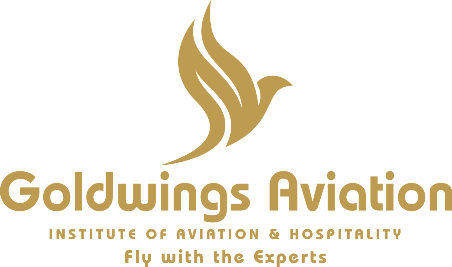 Parents feedback – Goldwings Aviation